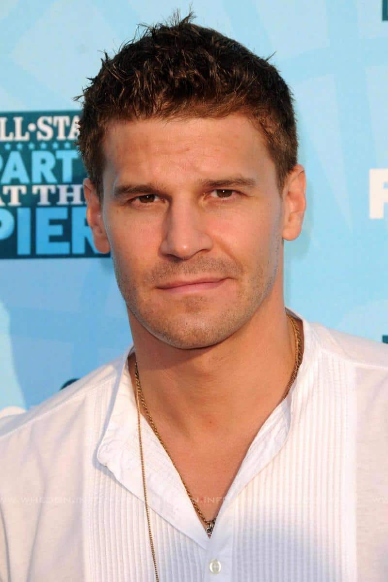 David Boreanaz - elFinalde
